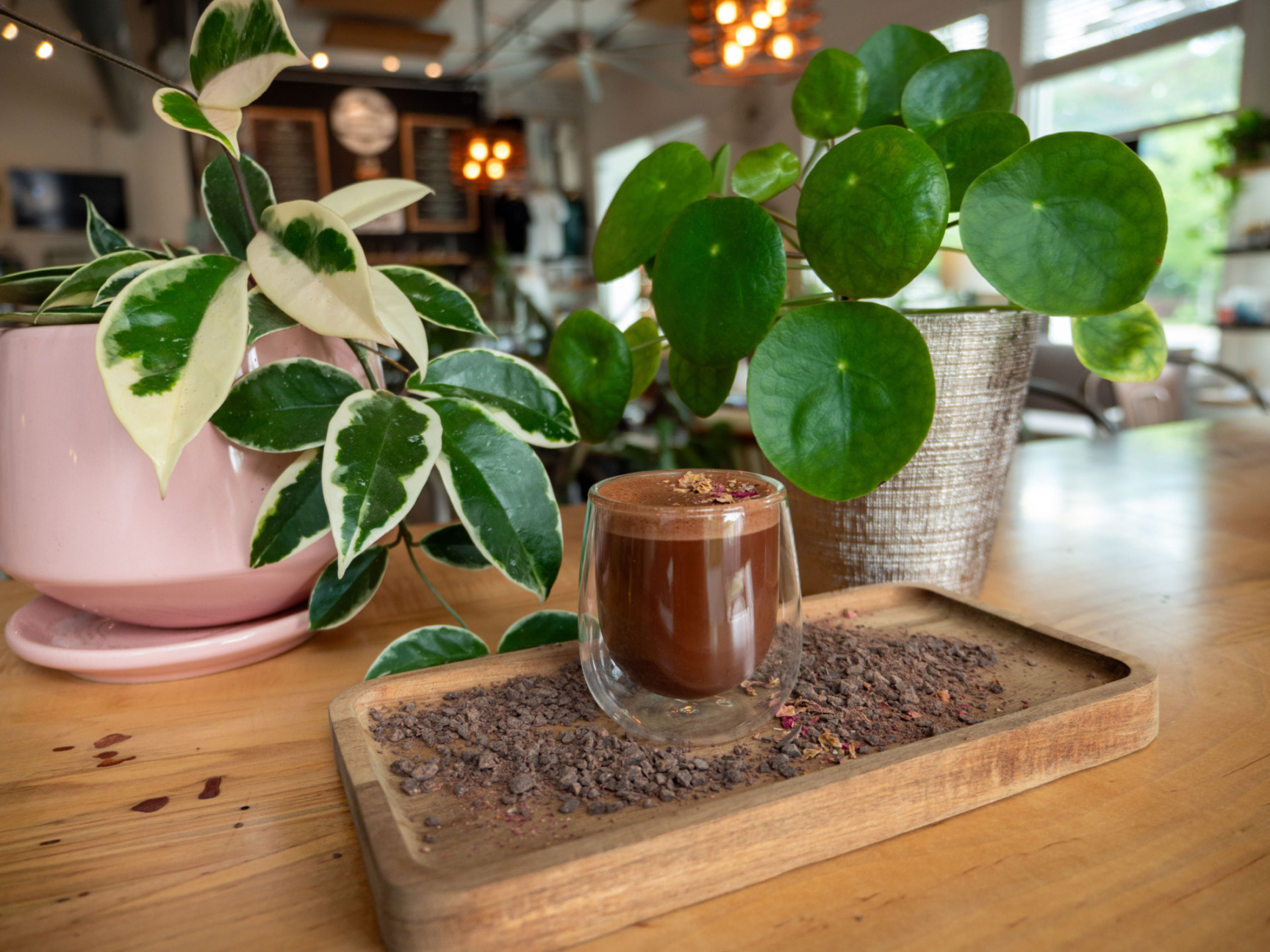 Cacao - Plant Bar - Coffee and Tea