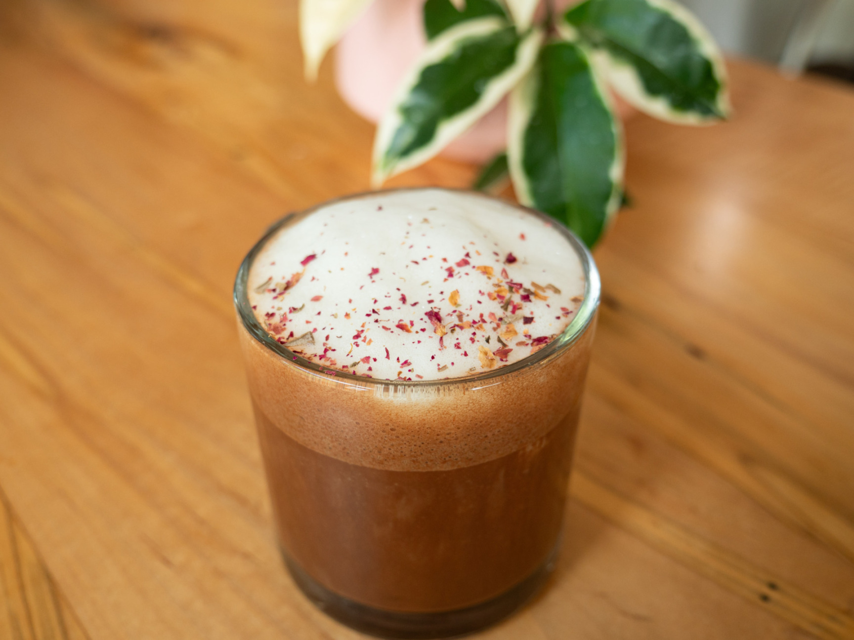 Cacao - Plant Bar - Coffee and Tea