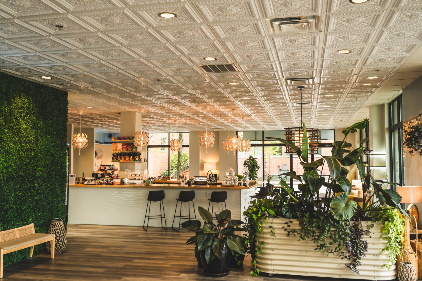 Friday the 13th Pop-Up - Plant Bar - Coffee and Tea